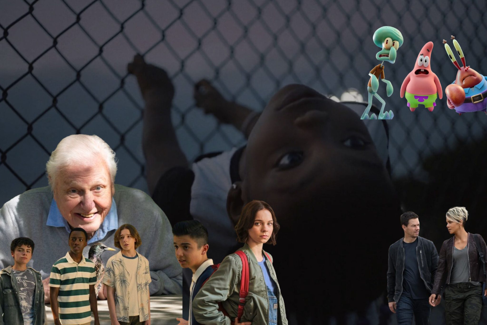 Netflix premier 2024 augusztus: David Attenborough sorozata