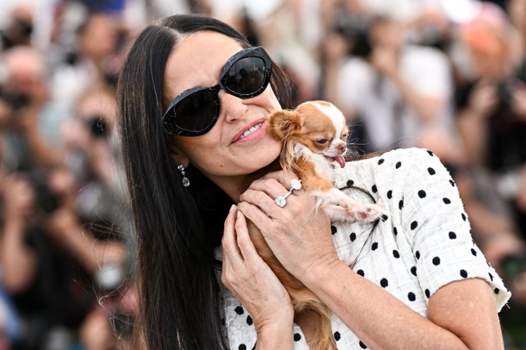 Imádják a sztárok ezeket a kutyafajtákat | Marie Claire