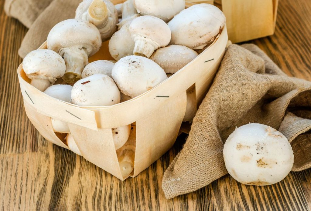 Gomba tárolása: hetekig friss marad ezzel a módszerrel