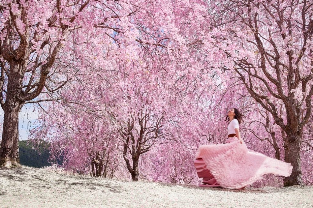 A Rituals végre Magyarországon: az ikonikus Sakura kollekció